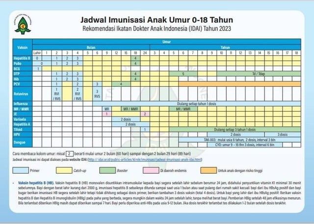 Jadwal Imunisasi IDAI Terbaru: Panduan Lengkap untuk Orang Tua - BolaPedia X PangkalanBola